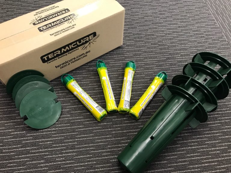 Looking for Best DIY Termite Baits Available for Termicure