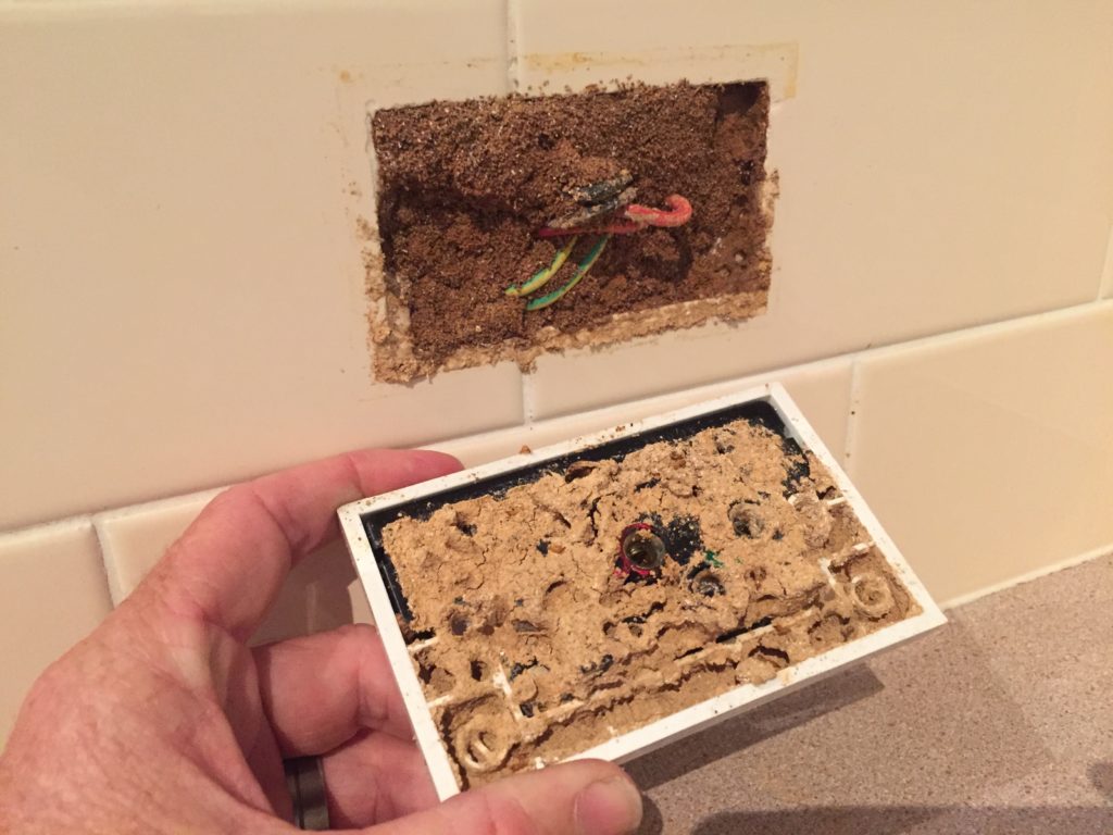 Gold Coast Termite Protection and DIY - Termicure Termite Baits