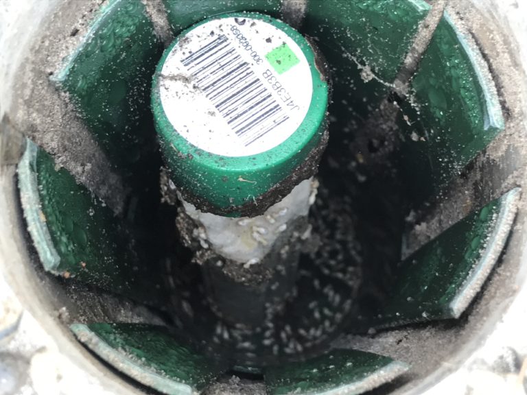 Homeowner Termite Protection-now a viable option with Termicure