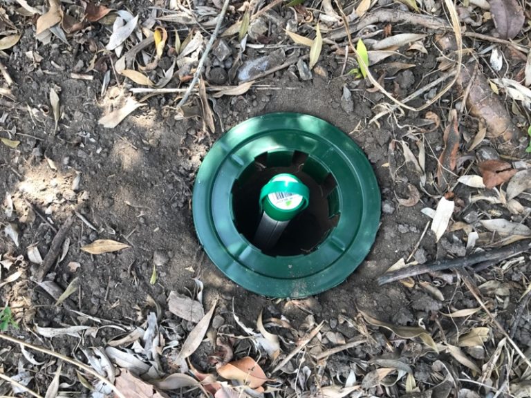 Most DIY Termite Bait kits are just timber... there's no poison ...