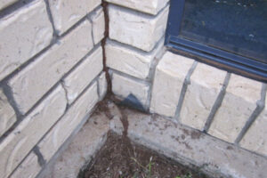 Termite prevention tips to prevent termites on or under concrete slabs ...